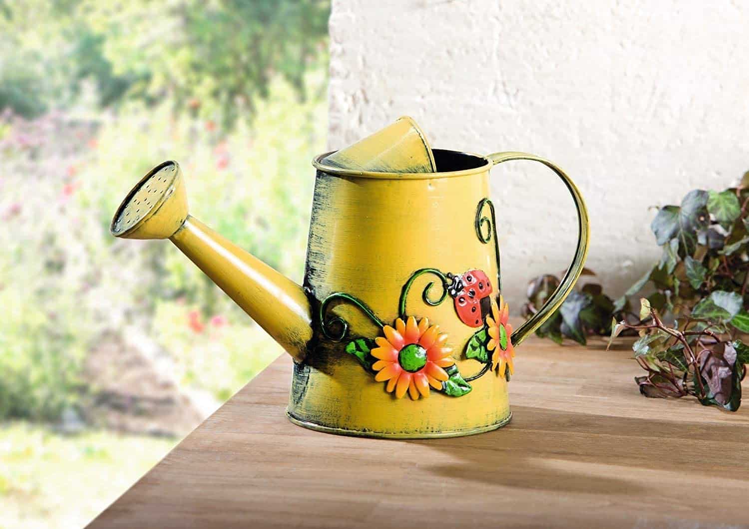 10 Cute Mini Watering Cans for Indoor Plants [2022 Update]- Plants Craze