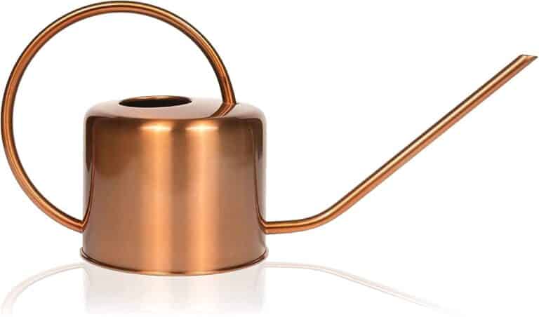 10 Top-Rated Garden Watering Cans (With Pictures)