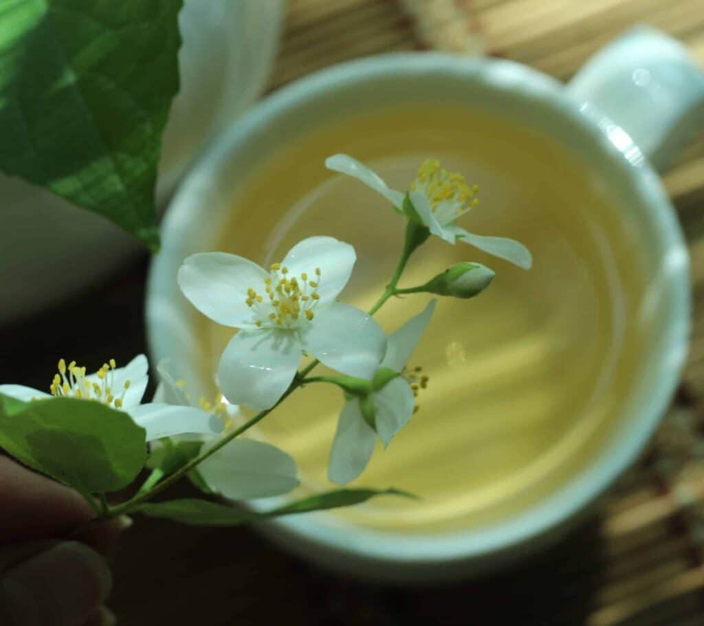 10 Amazing Benefits of Jasmine Plant - Plants Craze