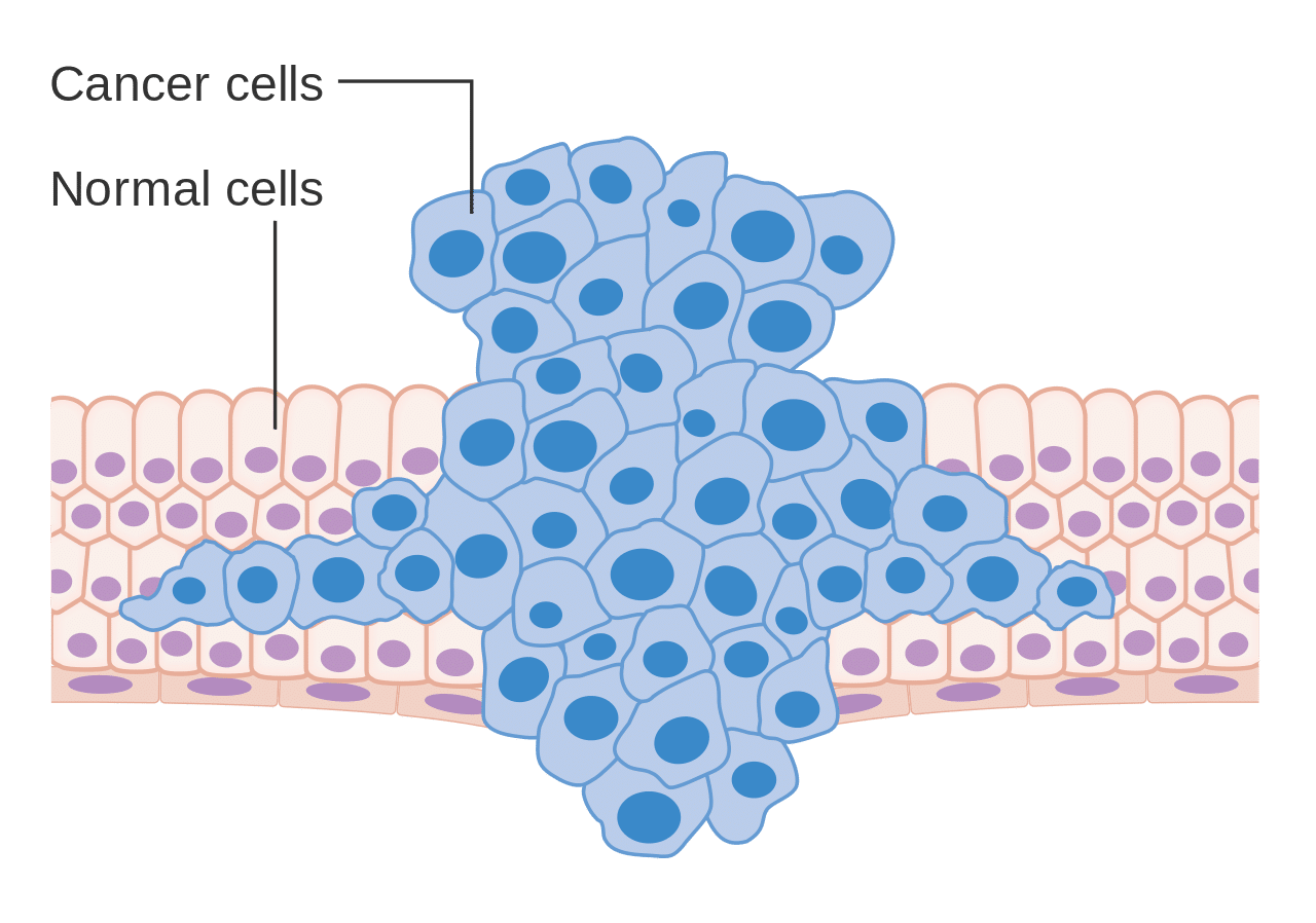 11 Science-Backed Benefits of Prickly Pear - Plants Craze
