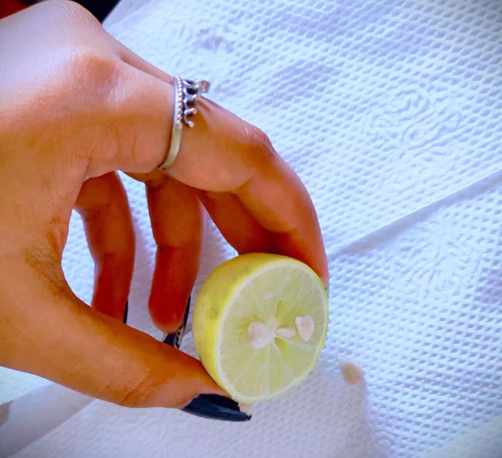 How to Germinate Lemon Seeds – A Complete Guide - Plants Craze