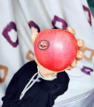 How to Plant Apple Seeds— Ultimate Growing Guide - Plants Craze