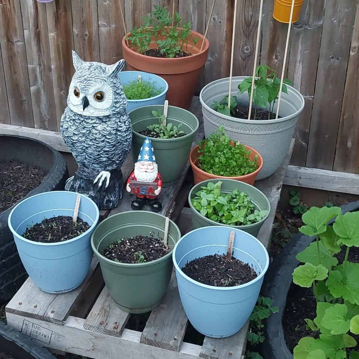 Best Hacks to Keep Squirrels from Digging up Plants - Plants Craze