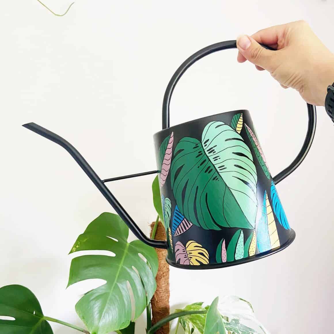 10 Top-Rated Garden Watering Cans (With Pictures)
