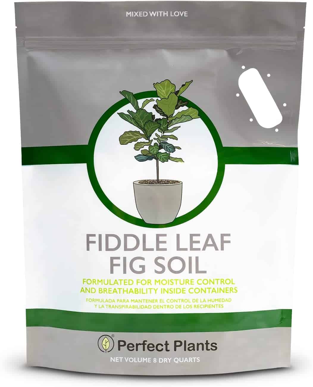 Best Soil For Fiddle Leaf Fig (Commercial & DIY) - Plants Craze