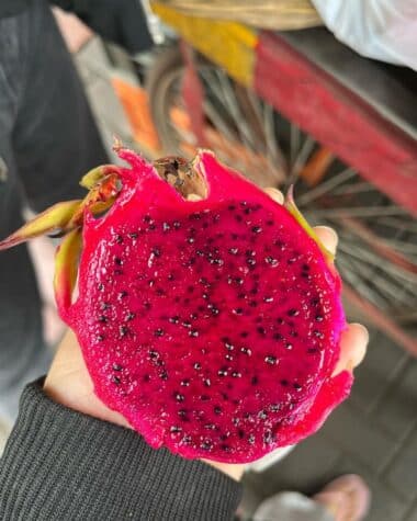 Eating Dragon Fruit At Night [A Sweet Slumbers]