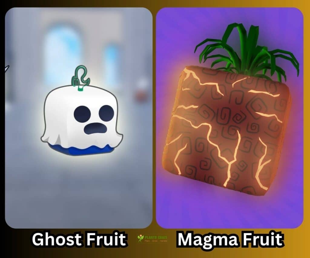 Is Ghost Fruit Better Than Magma ? Guide For Blox Fruits