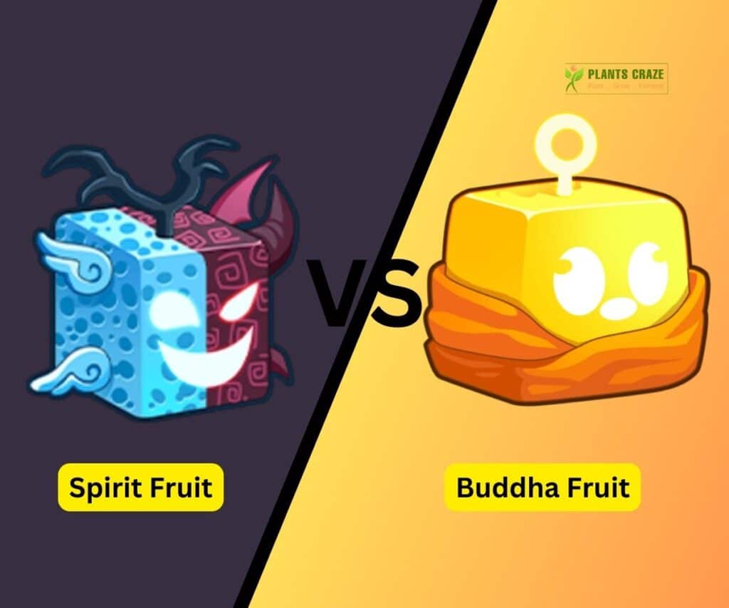 Is Spirit Better Than Buddha? Ultimate Guide For Beginners
