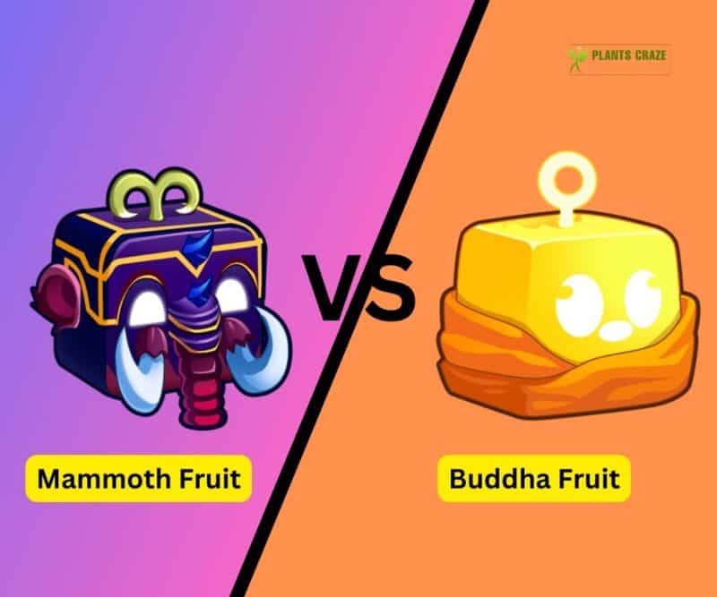 Is Mammoth Better Than Buddha? Guide For Blox Fruits
